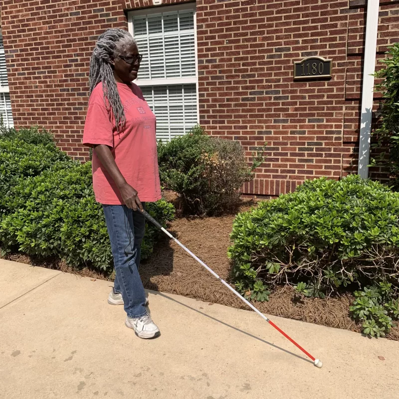 Donate - Association for the Blind and Visually Impaired SC